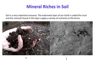 9 bio natural resources | PPT