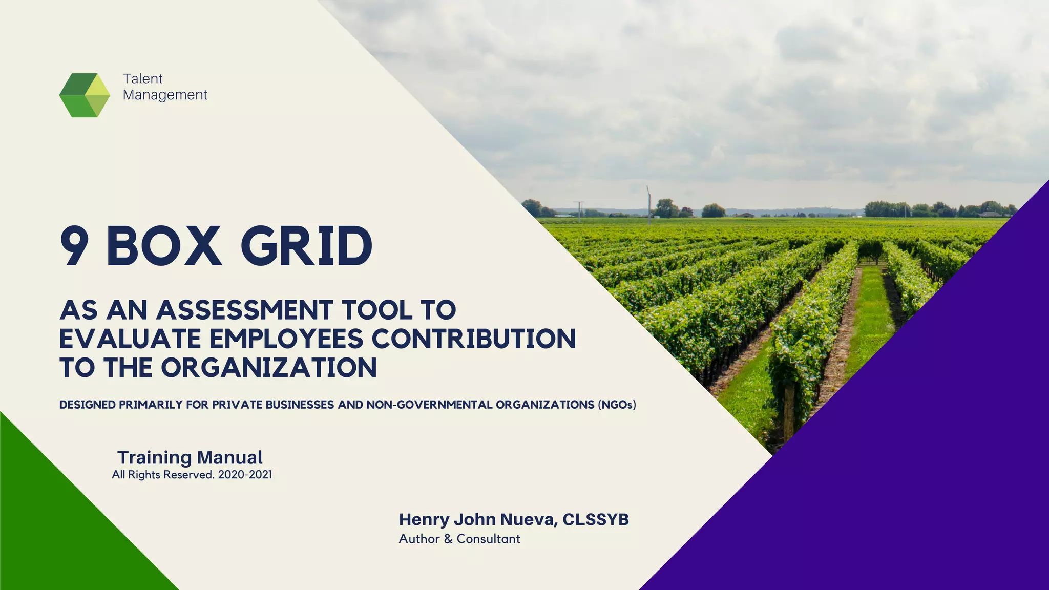 9 Box Grid : As an assessment tool to evaluate employees contribution ...