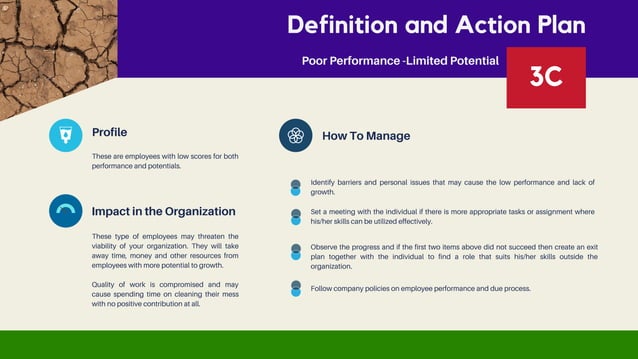 9 Box Grid : As an assessment tool to evaluate employees contribution ...