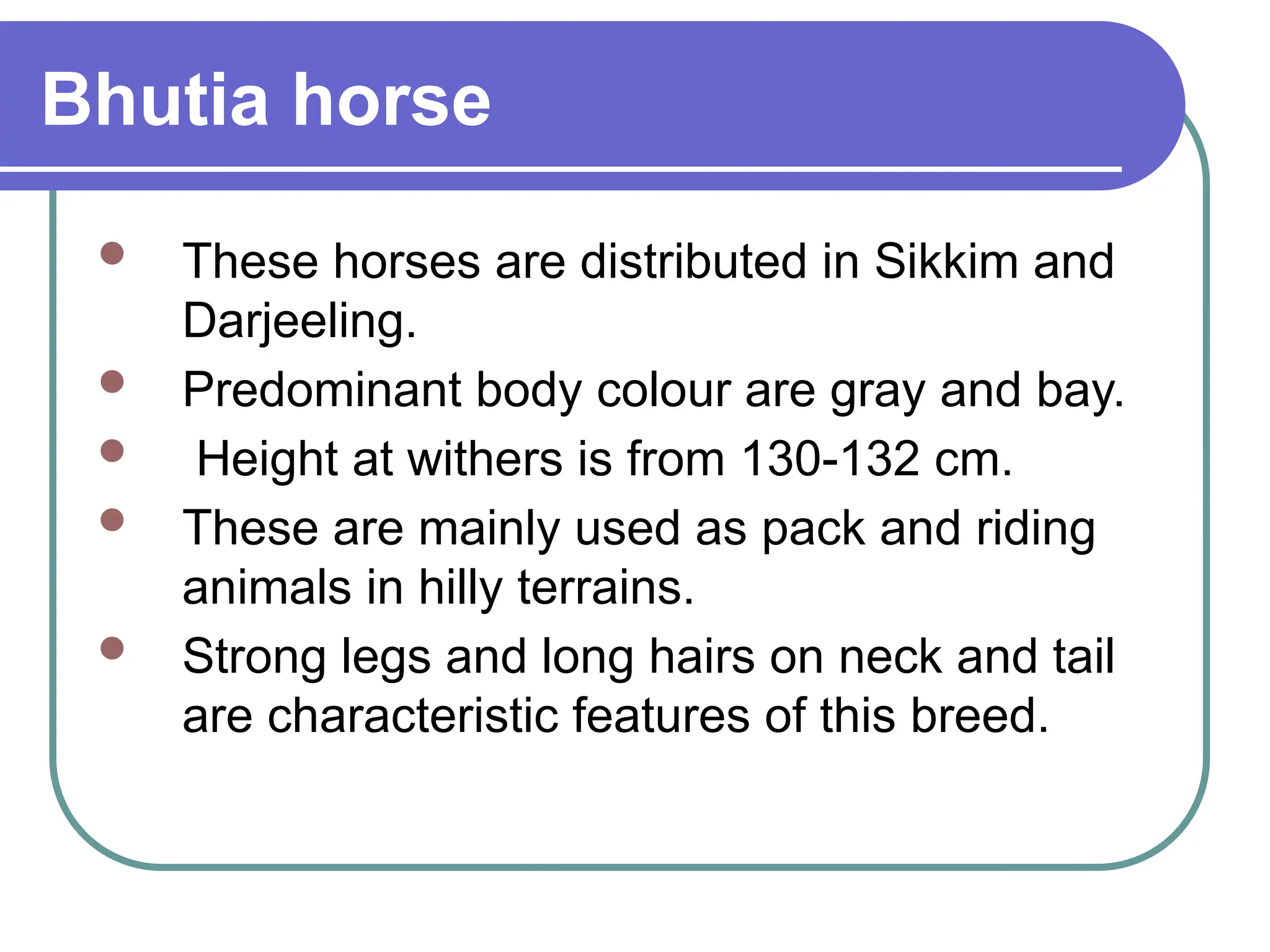 9_Breeds_of_horse,_zoological_classification,_common_terminology.pptx