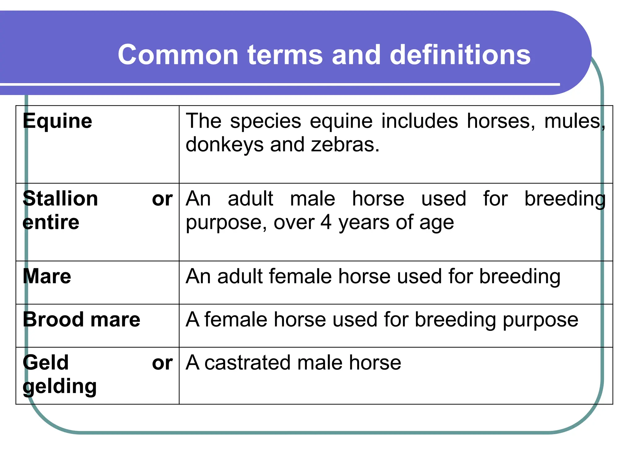9_Breeds_of_horse,_zoological_classification,_common_terminology.pptx