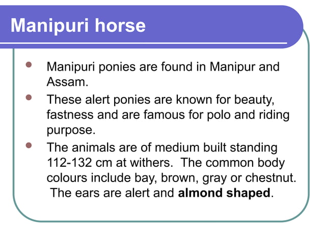 9_Breeds_of_horse,_zoological_classification,_common_terminology.pptx