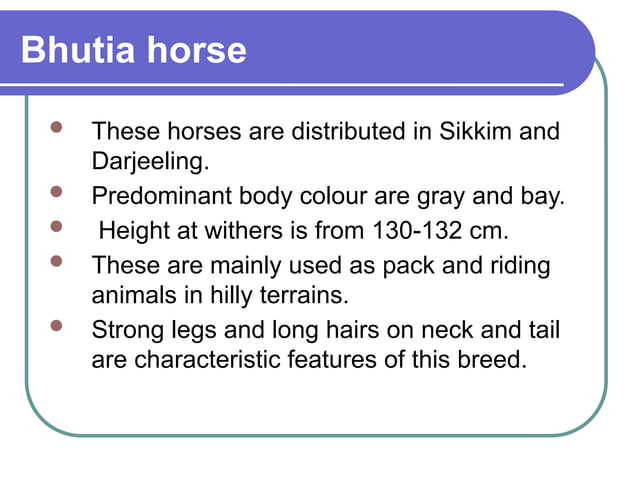 9_Breeds_of_horse,_zoological_classification,_common_terminology.pptx