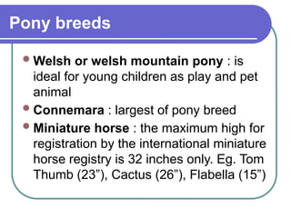 9_Breeds_of_horse,_zoological_classification,_common_terminology.pptx