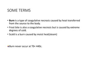 9 burn | PPTX