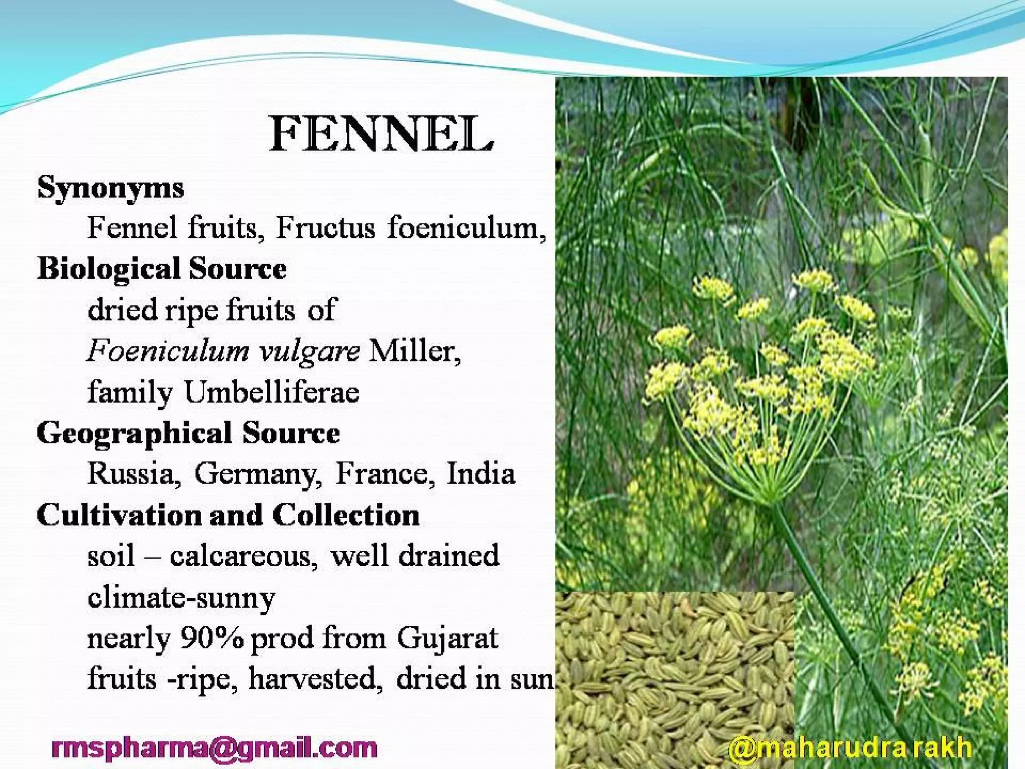 9c. carminatives and gastro intestinal regulators | PPT