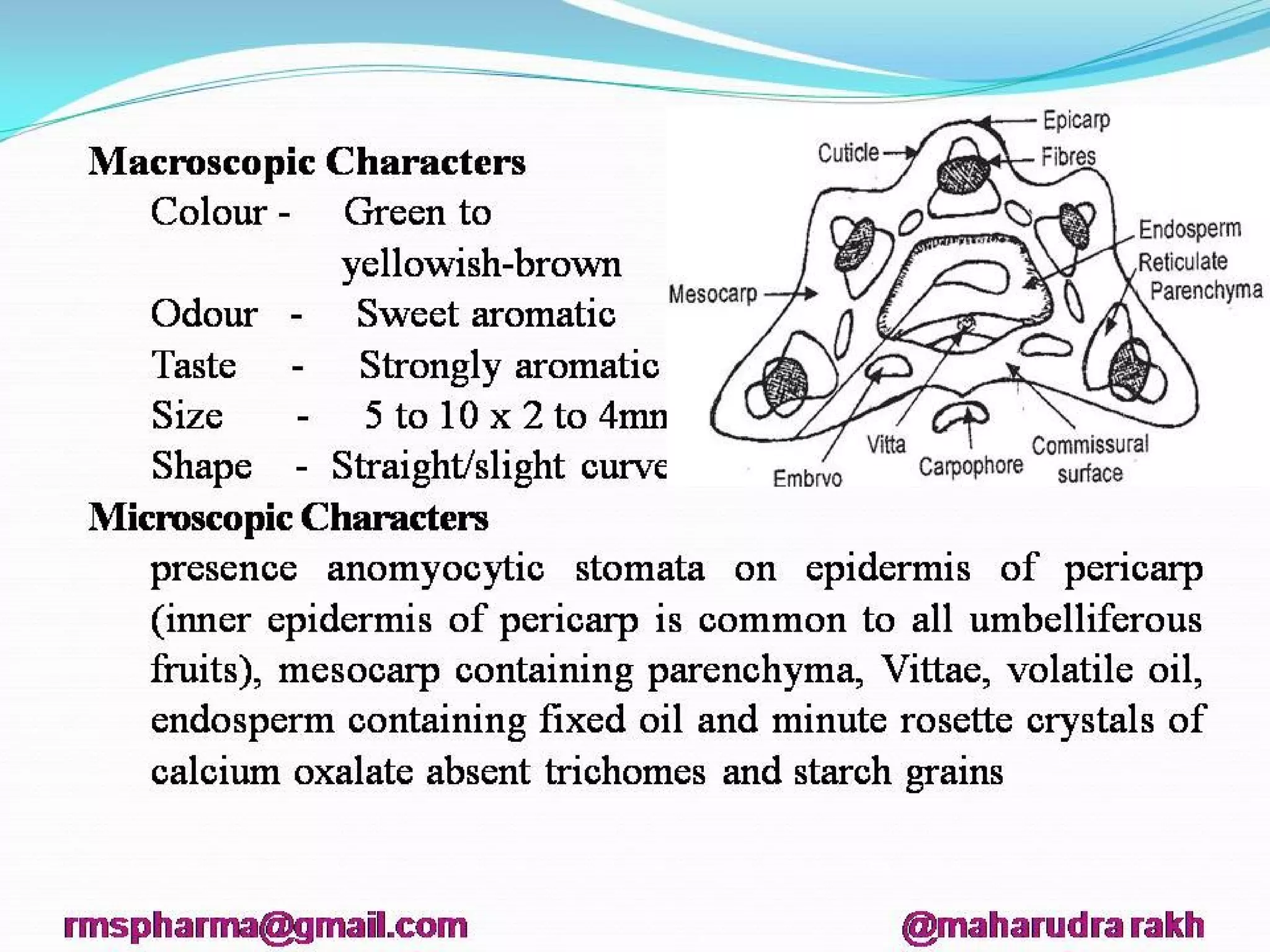 9c. carminatives and gastro intestinal regulators | PPT