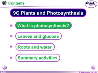 9 c plants-and-photosynthesis-101oqsd | PPT