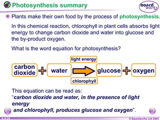 9 c plants-and-photosynthesis-101oqsd | PPT