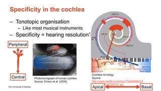 UG thesis presentation | PPT