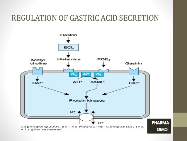 Ozempic Mechanism Of Action - Rumah Kun