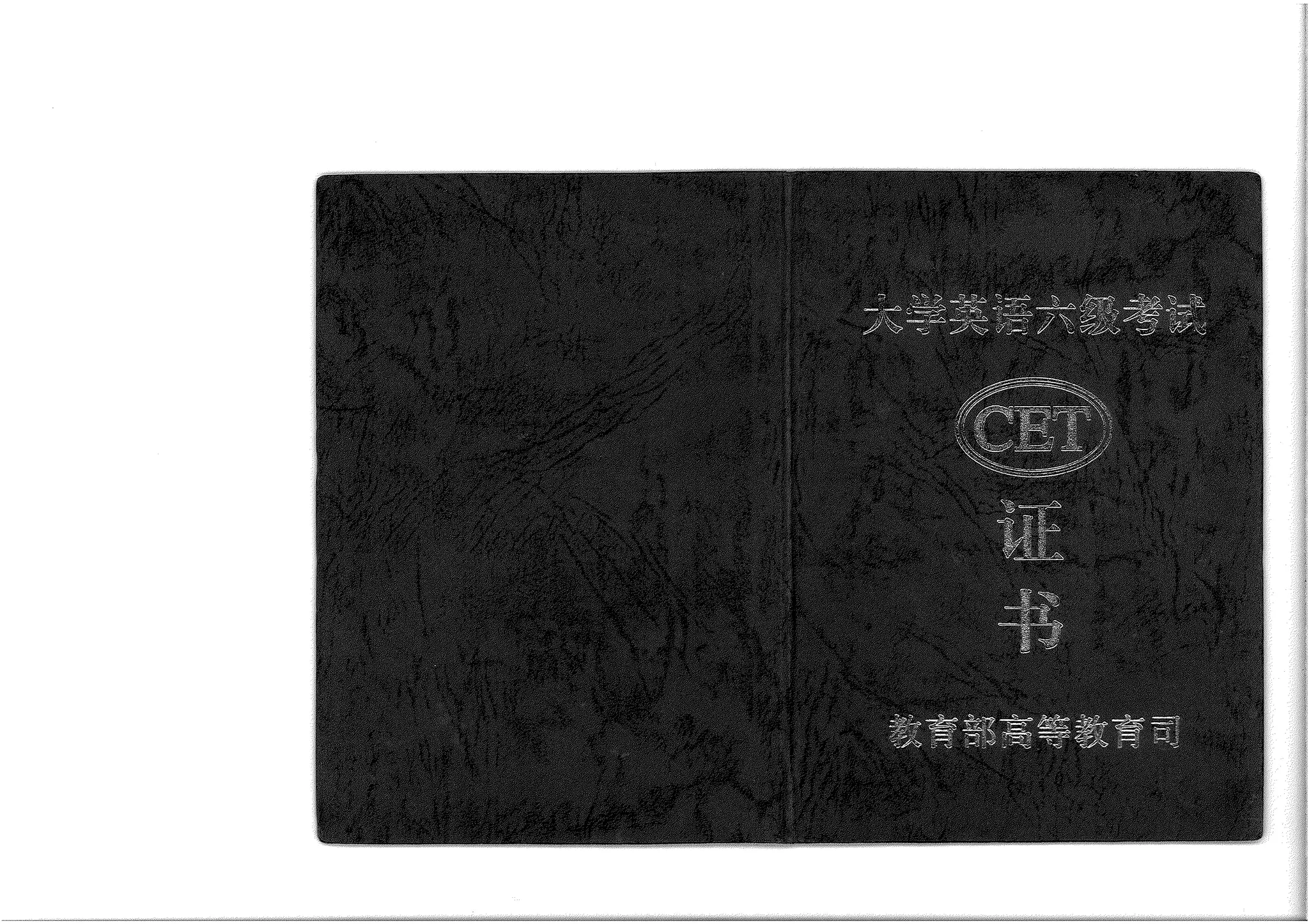 CET 6 | PDF