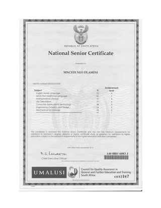 CURRICULUM VITAE of Neo Dlamini recent copy PDF | PDF | IT and Internet ...
