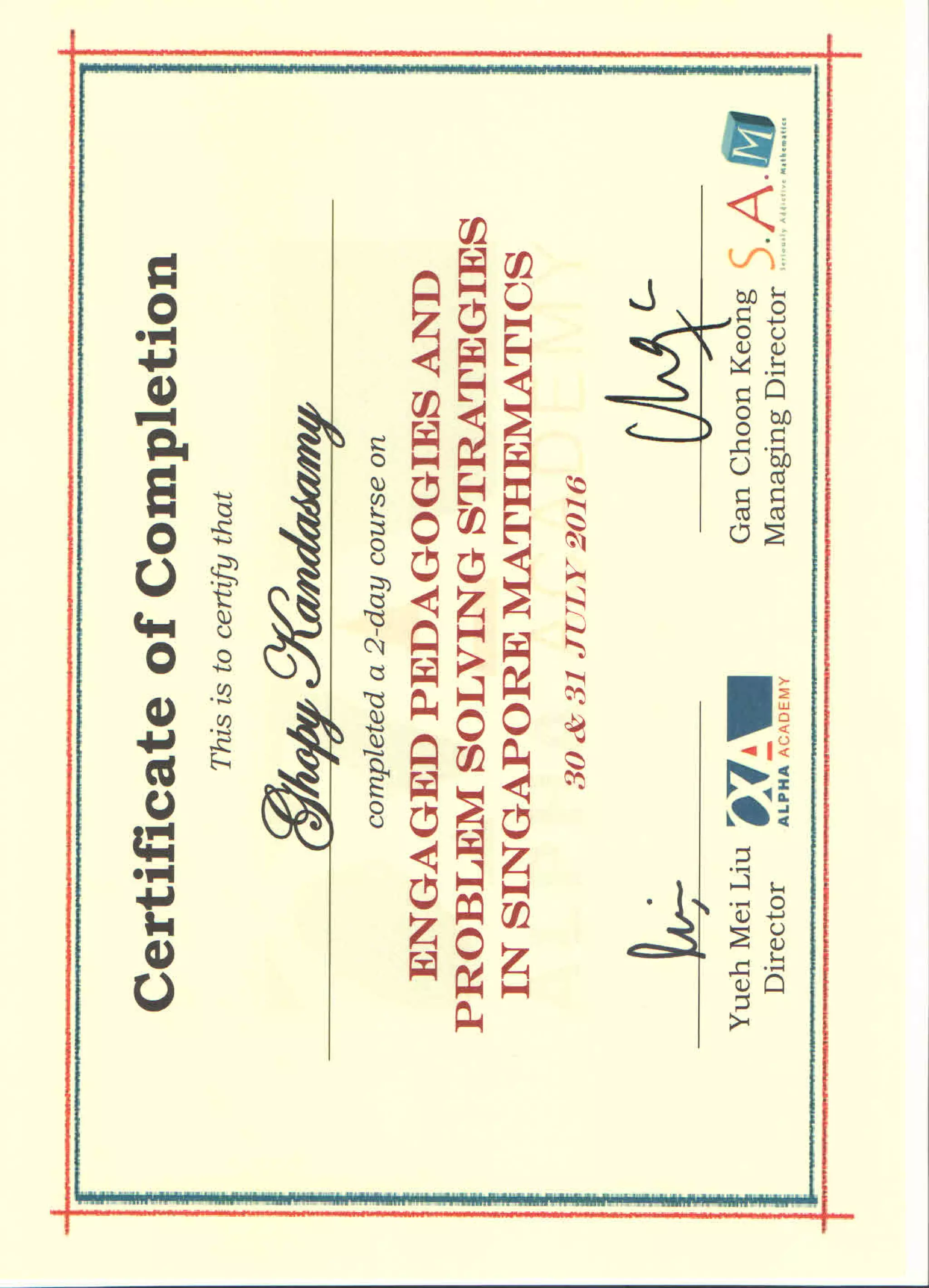 SAM training Certificate | PDF