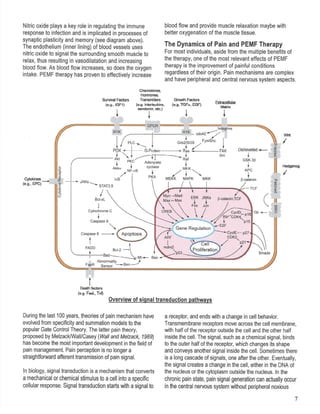 Benefits of high-powered PEMF explained | PDF