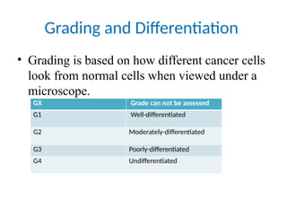 Cancer Diagnosis, Staging & Goals of Therapy | PPTX