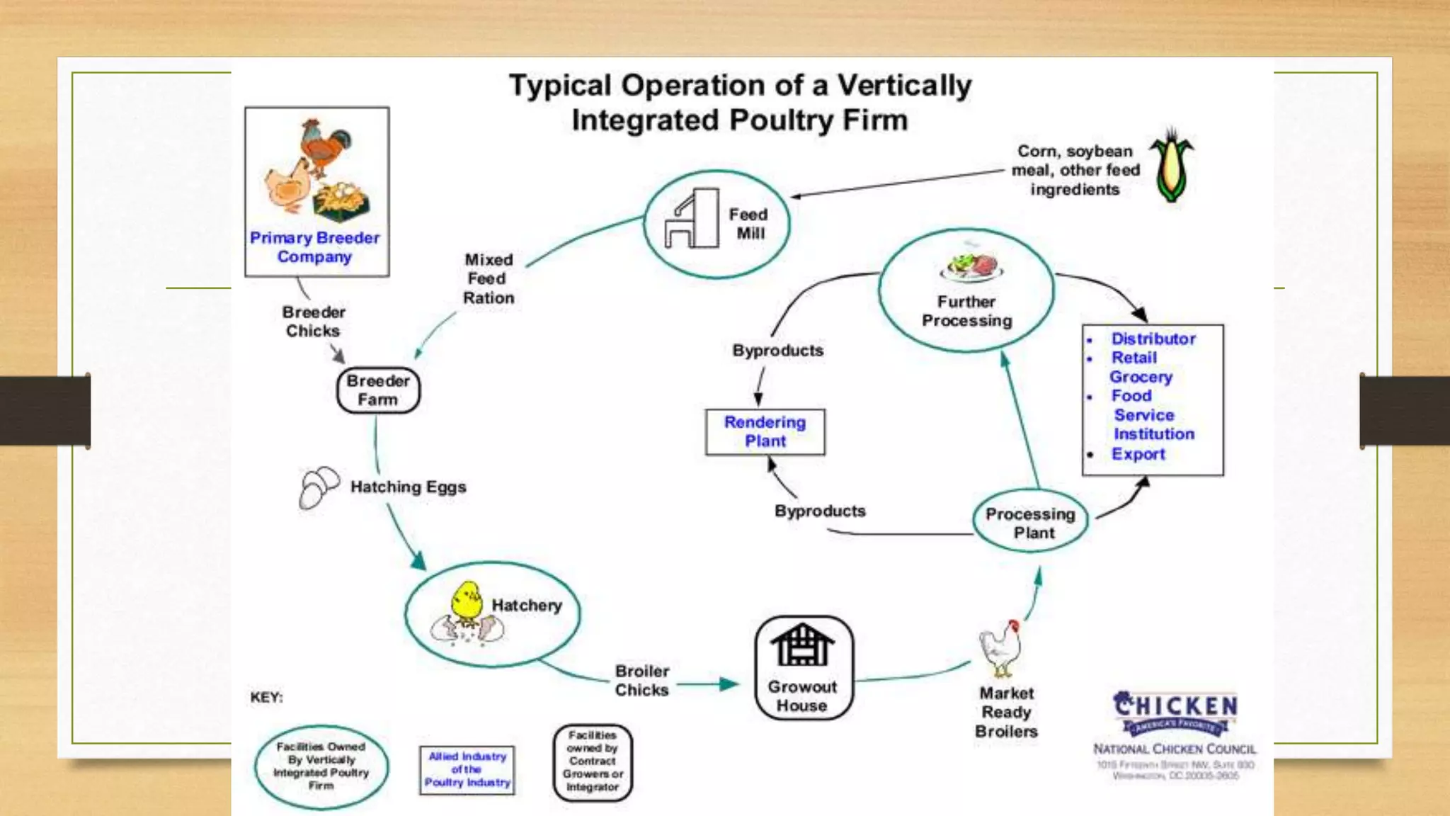 Poultry Farming | PPTX