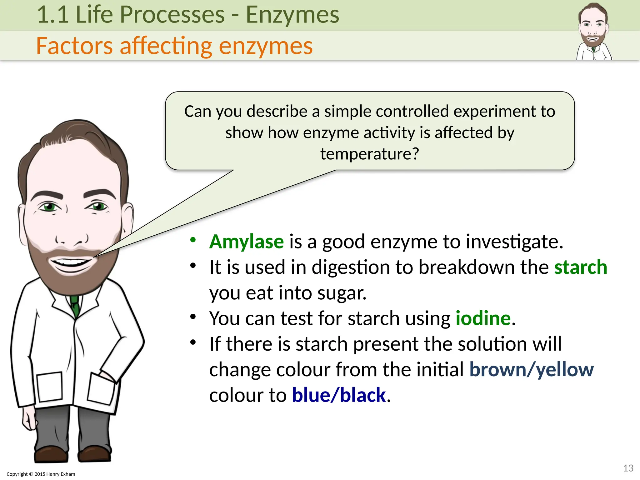 9C_Chapter 5_How do enzymes work, factors affecting enzymes | PPTX