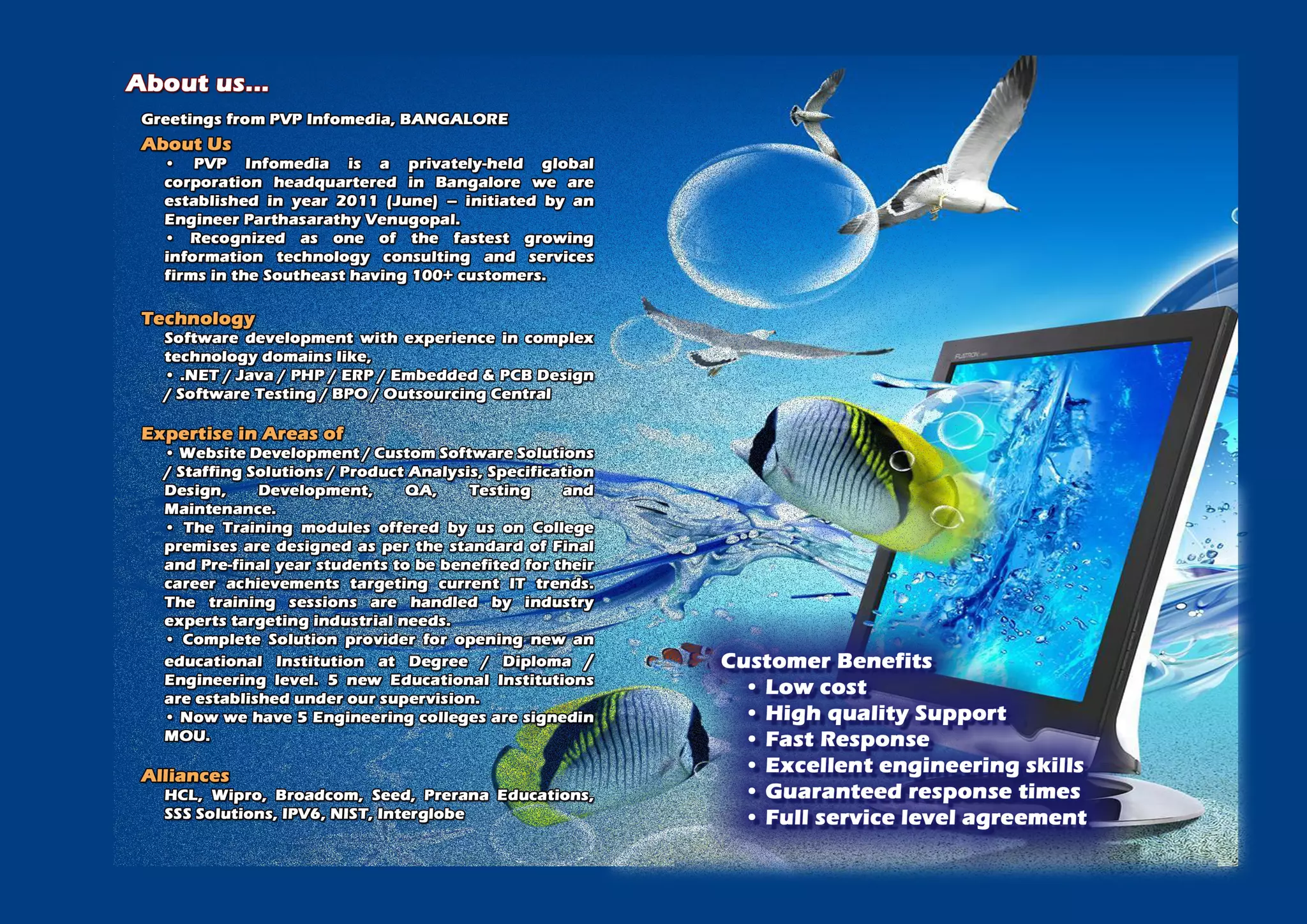 infomedia-company-profile | PDF