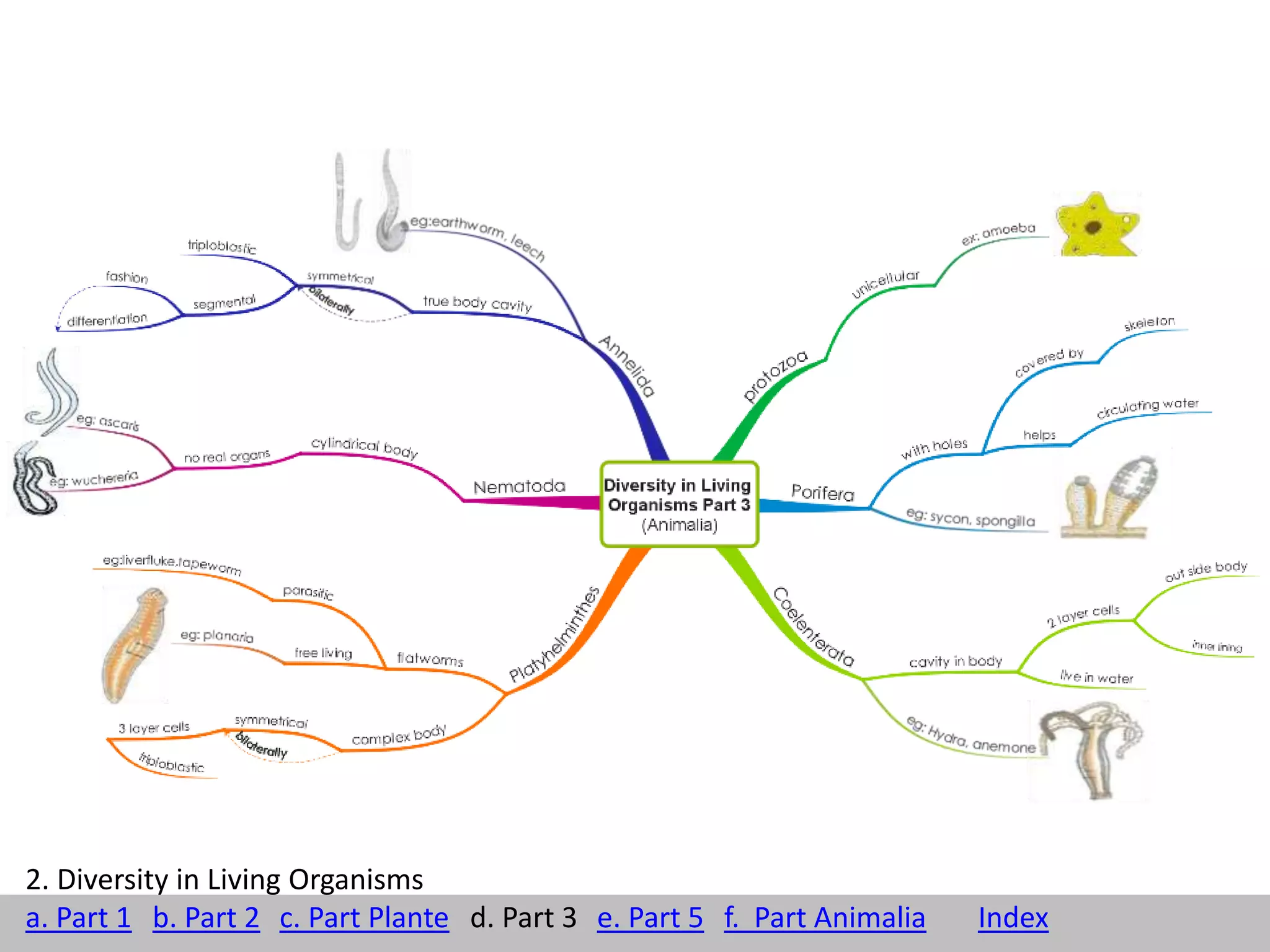 9 class science sample mimdmaps | PPTX