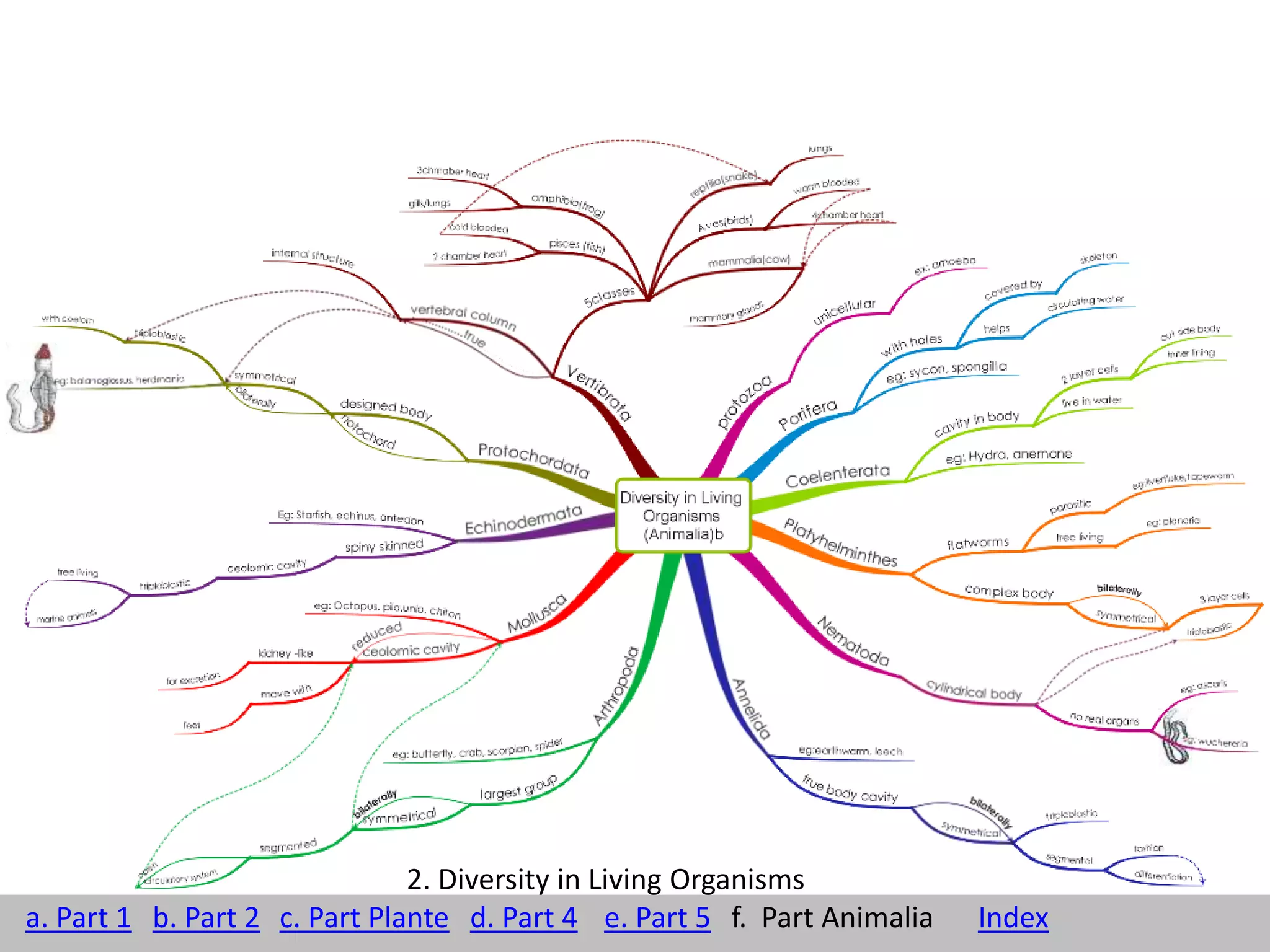 9 class science sample mimdmaps | PPTX
