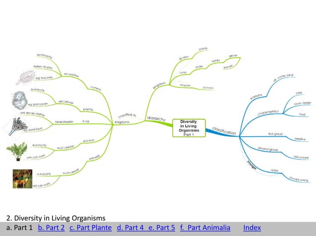 9 class science sample mimdmaps | PPTX | Geography | Science