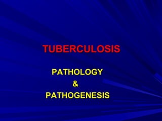 Tb path & pathogenesis | PPT