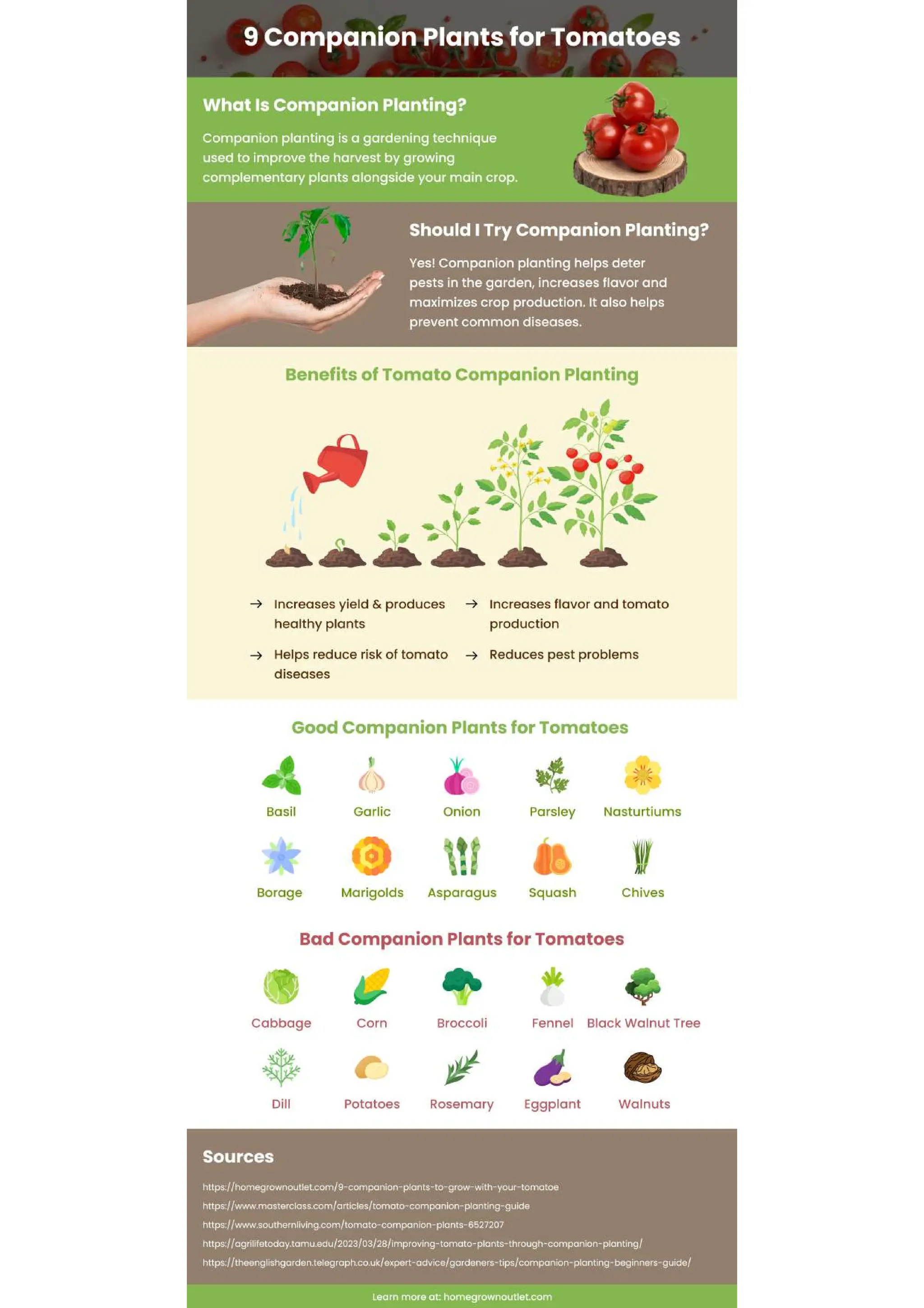 9 Companion Points for Tomatoes.pdf