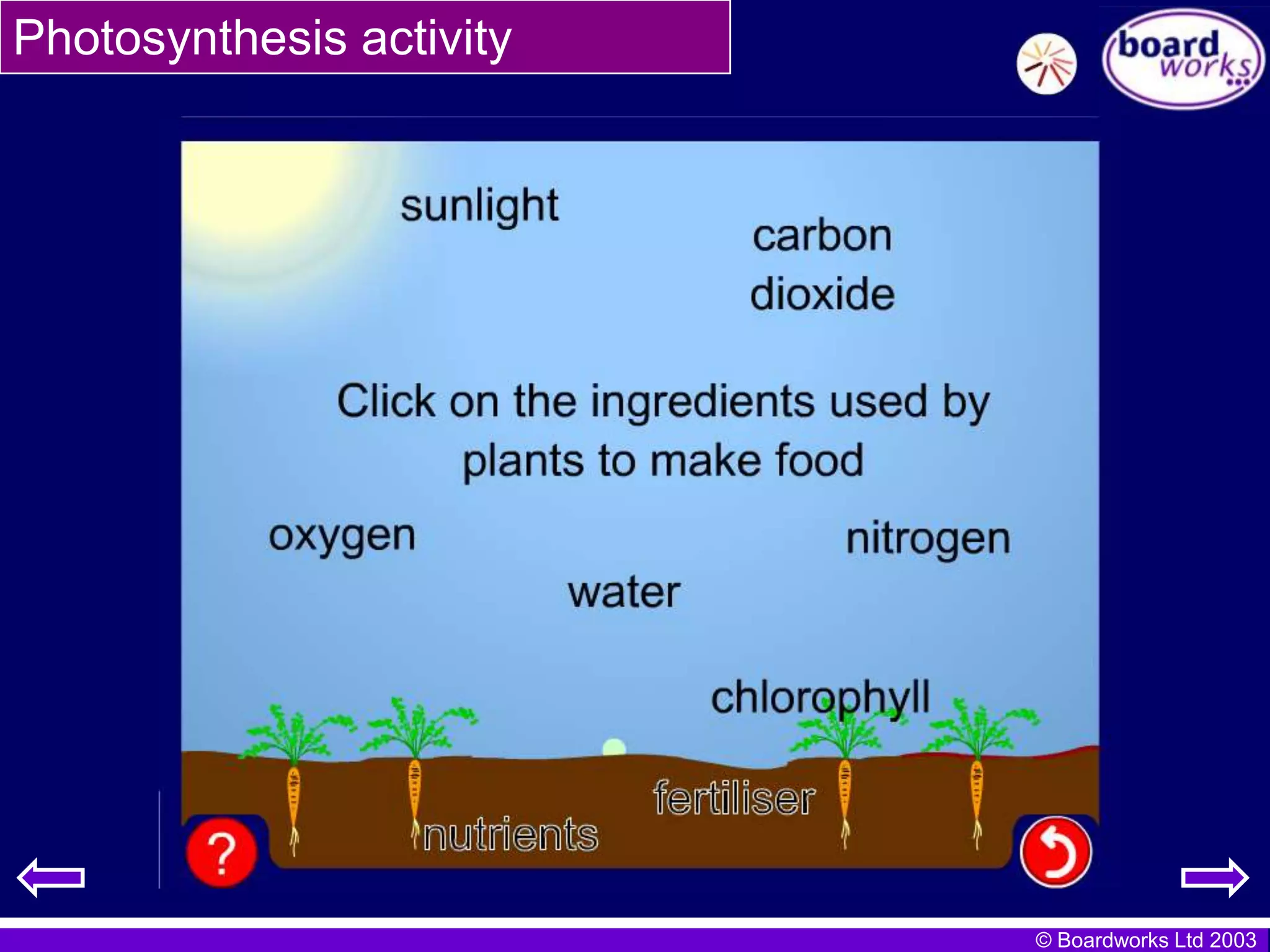 9 c plants and photosynthesis | PPT