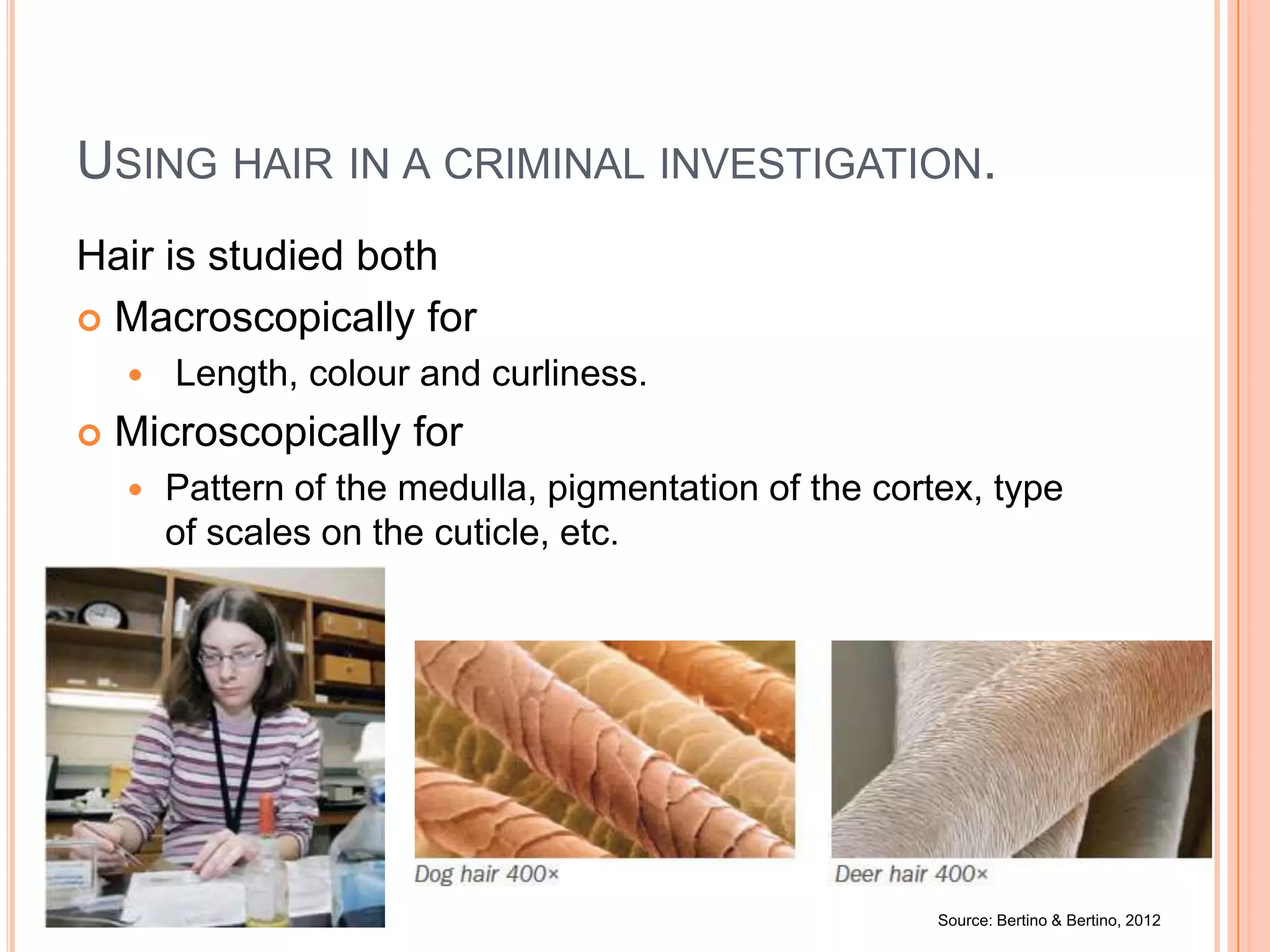 Forensic Science - 04 Hair | PPTX