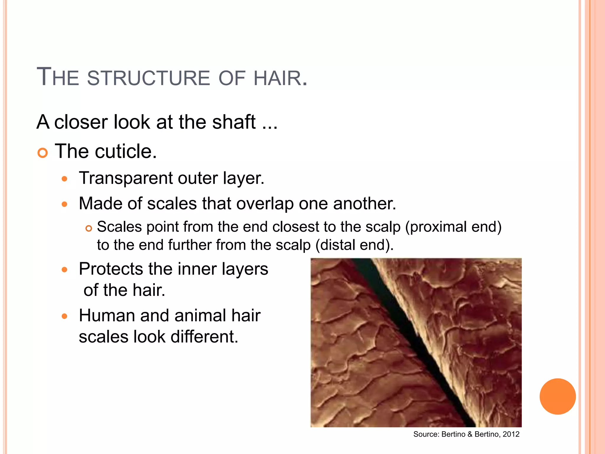Forensic Science - 04 Hair | PPTX