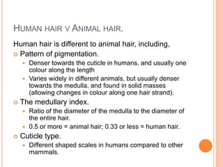 Forensic Science - 04 Hair | PPT