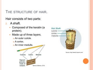 Forensic Science - 04 Hair | PPT
