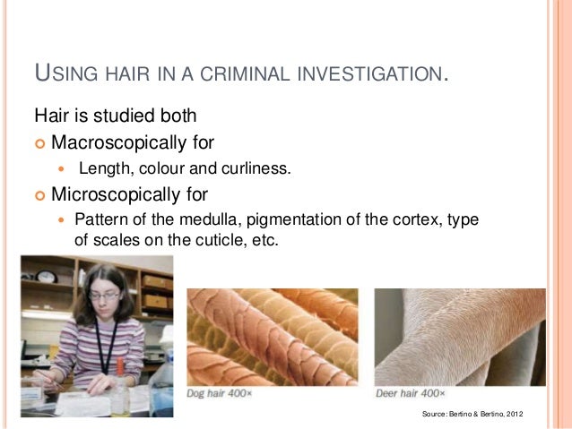 Forensic Science - 04 Hair