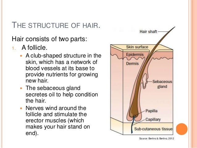 Forensic Science - 04 Hair