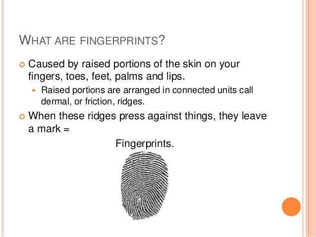 Forensic Science - 05 Fingerprints