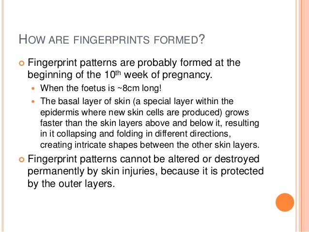 Forensic Science 05 Fingerprints Forensic Science 05 Fingerprints
