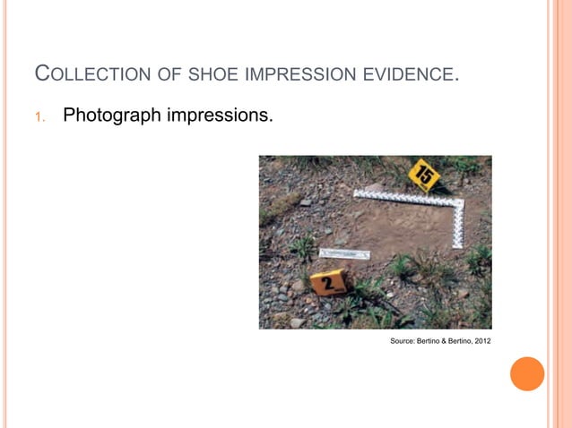 Forensic Science - 07 Casts and impressions | PPTX | Walking | Sports
