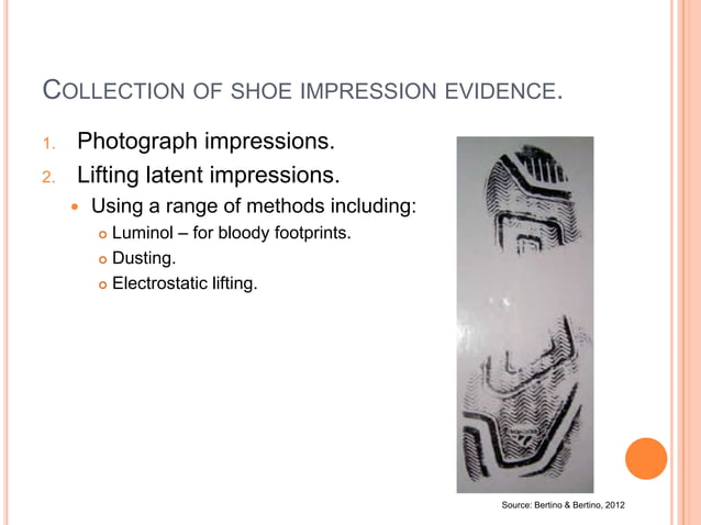 Forensic Science - 07 Casts and impressions | PPTX | Walking | Sports