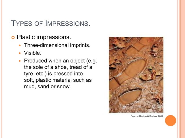 Forensic Science - 07 Casts and impressions | PPTX | Walking | Sports