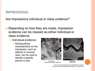 Forensic Science - 07 Casts and impressions | PPTX