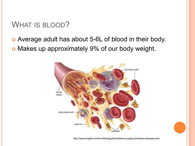 Forensic Science - 09 Blood and blood splatter | PPTX | Blood Disorders ...