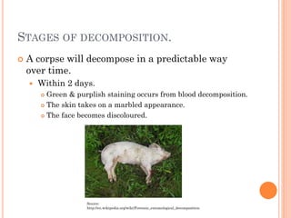 Forensic Science - 09 Autopsy | PPTX