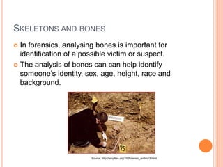 Forensic Science - 06 Skeletons and bones | PPTX
