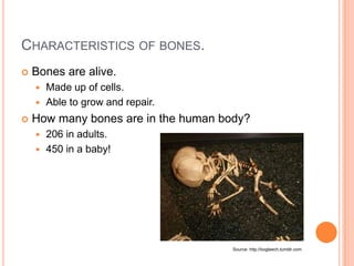 Forensic Science - 06 Skeletons and bones