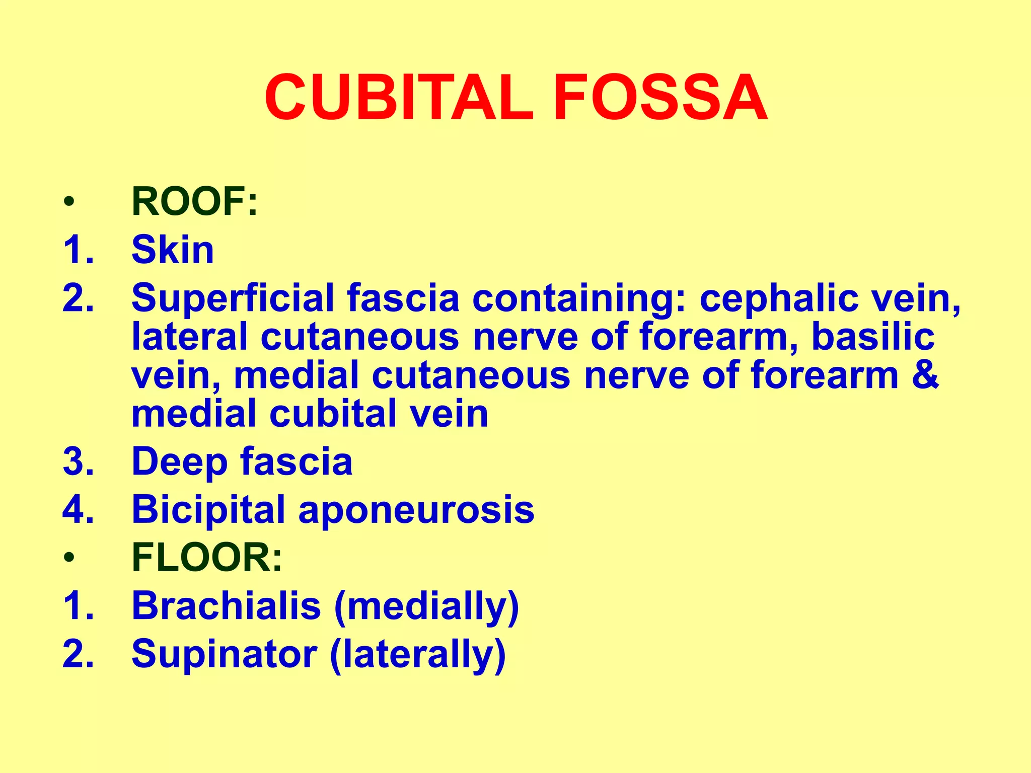 9 Cubital fossa.ppt