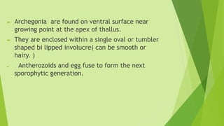 Cyathodium bryophyte: morphology, anatomy, reproduction etc. | PPTX