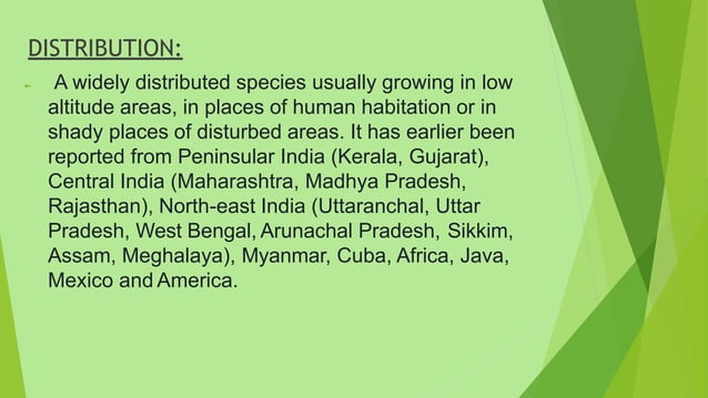 Cyathodium bryophyte: morphology, anatomy, reproduction etc. | PPTX ...