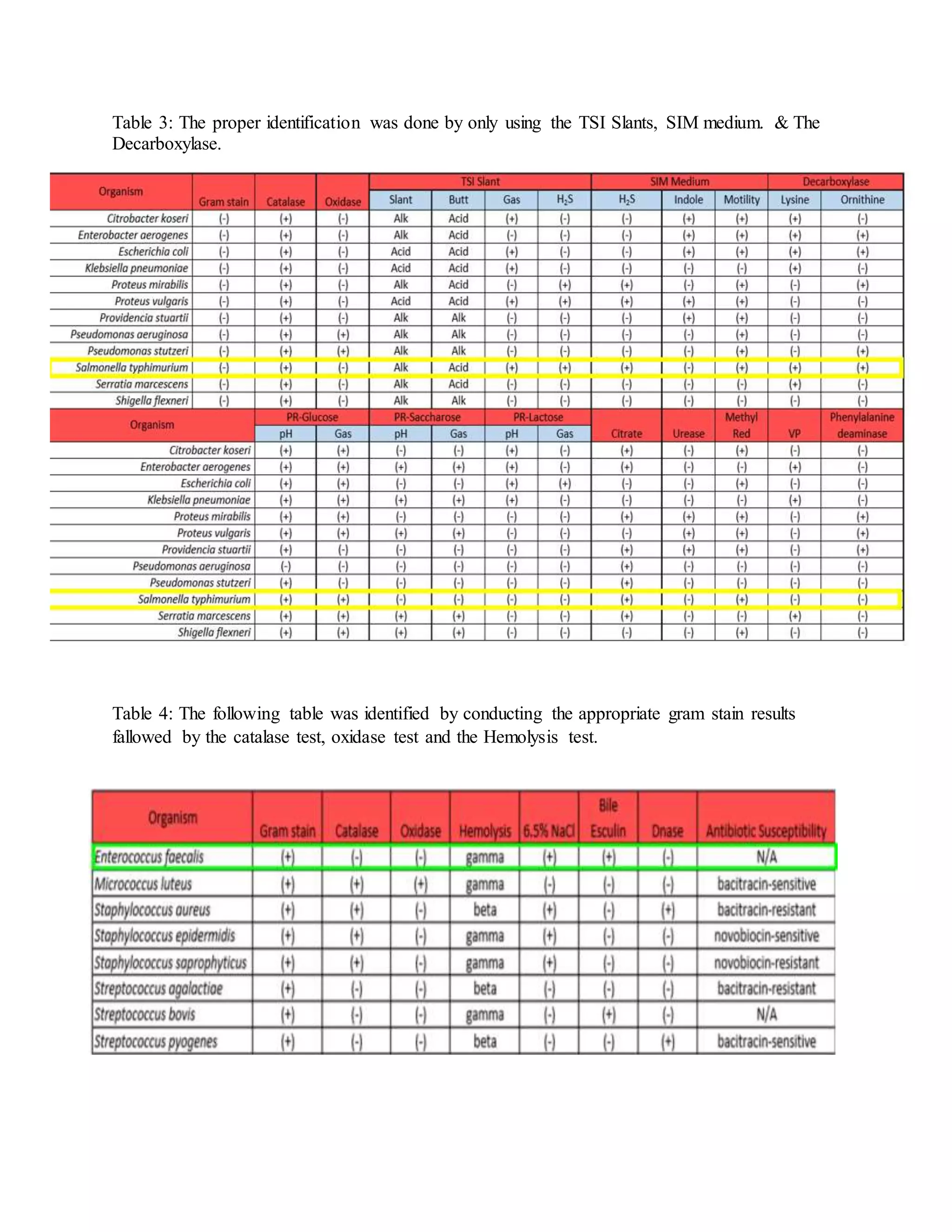Identifying Unknown Bacteria Lab | DOCX