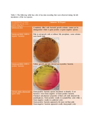 Identifying Unknown Bacteria Lab | DOCX